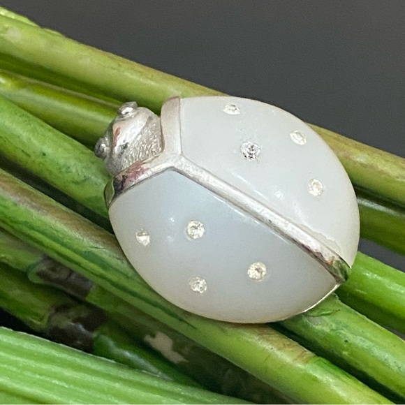Avon | Jewelry | Vintage 7s Avon Frosted Lucite Silvertone Ladybug ...